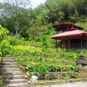 Mount Narsing Village Resort | Nomadic Weekends