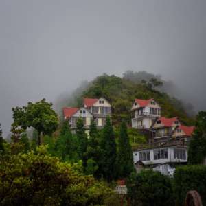 Charkhole Kanchen Resort: Best Kanchenjunga View Ever!