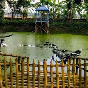 Newtown Resort | Nomadic Weekends